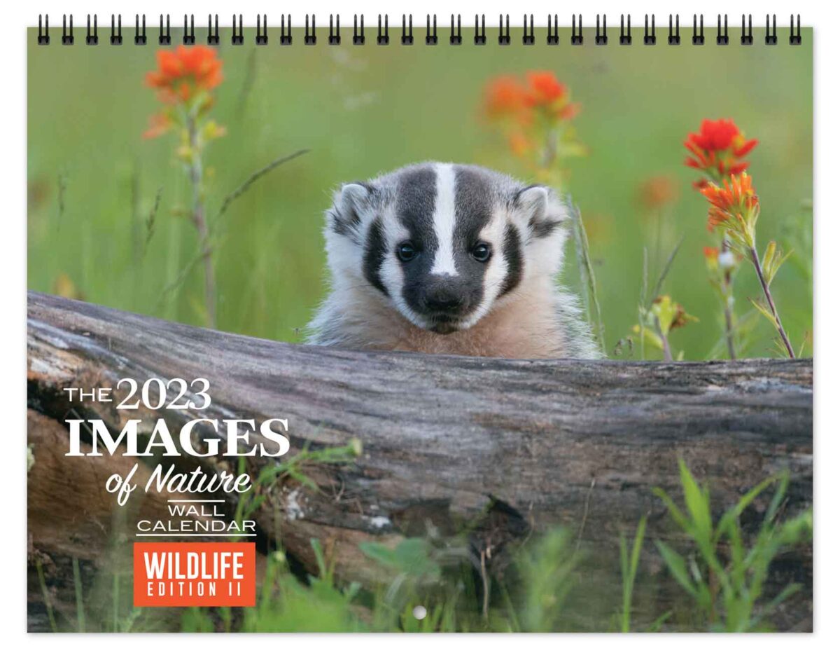 Individual Calendars | Farley Promo