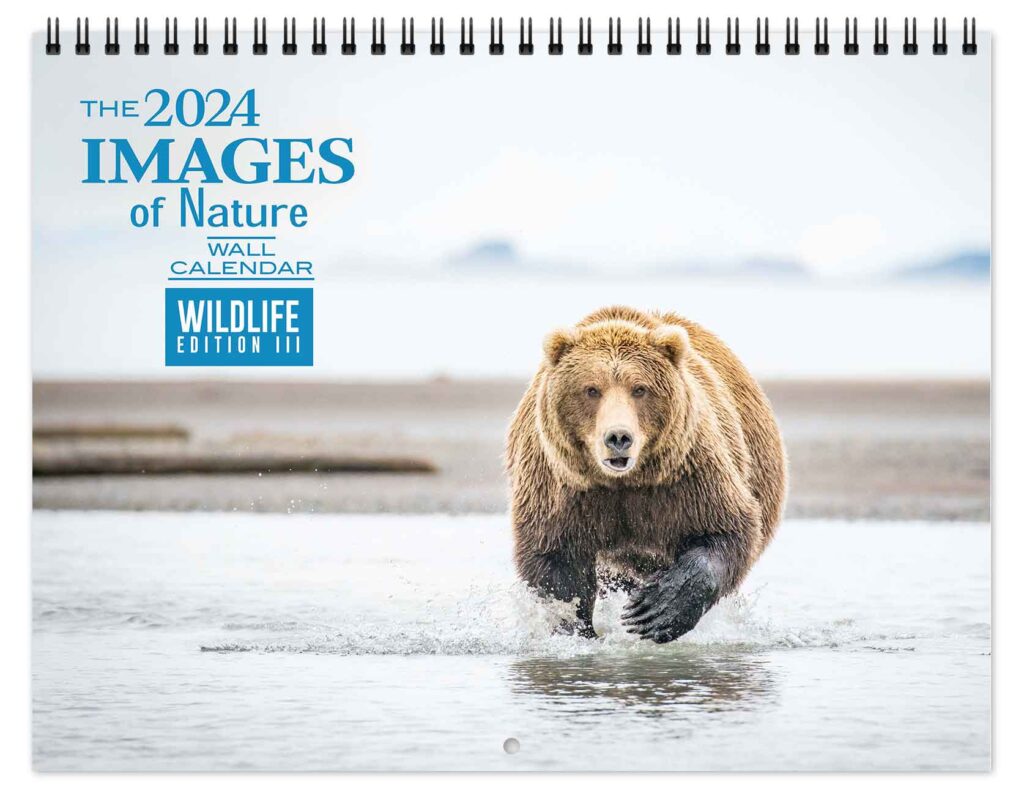 Individual Calendars | Farley Promo