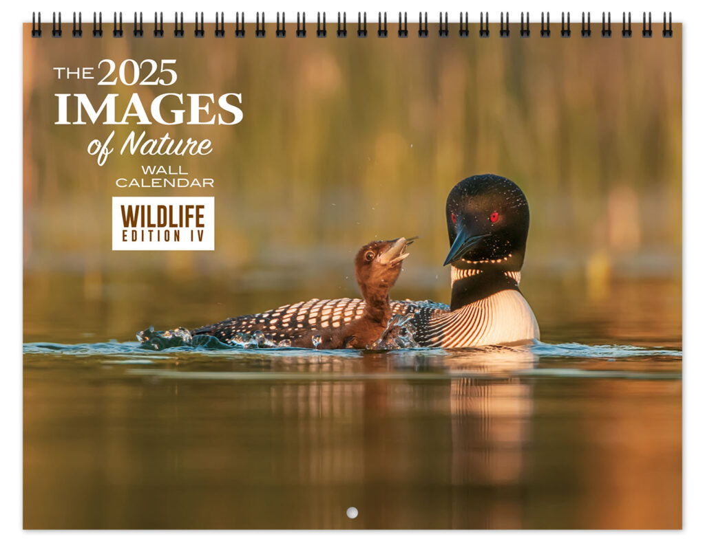 Individual Calendars | Farley Promo